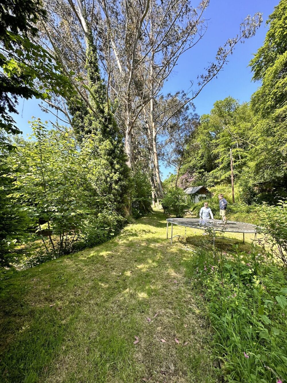 BATMAN'S SUMMERHOUSE - CABIN STAY DEVON - Penelope, Parker & Toddler